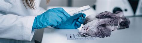 Not Guilty Forensic Research Proves That Textile Fibers Can Be Transferred Without Contact