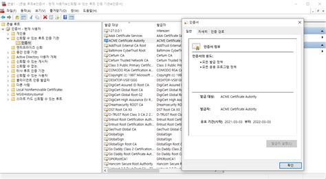 Windows 환경에서 사설 인증 기관 인증서private Ca Certificate 설치 하기 Oneuon