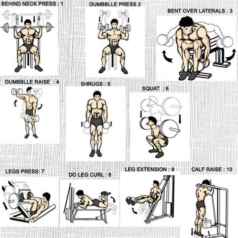 Leg And Shoulder Exercises Healthy Fitness Training Routine Ab Yeah