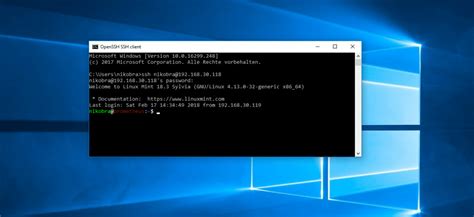 Openssh Client Windows 10 Dfwinfo