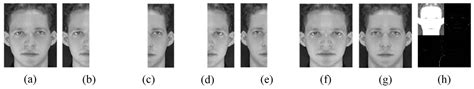 Face Recognition With Symmetrical Face Training Samples Based On Local Binary Patterns And The