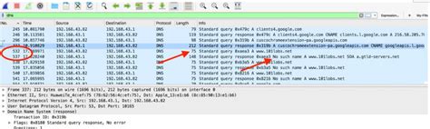 Wireshark Troubleshoot DNS Problems Labs Net
