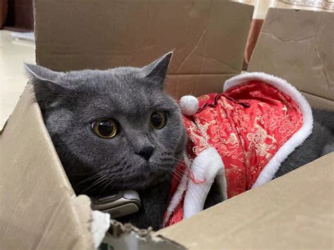 【图像分割】基于kullback Leibler 散度的模糊 C 均值 Fcm 算法实现图像分割附matlab代码 阿里云开发者社区