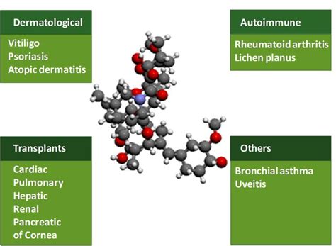 Structural Formula Of Tacrolimus And Applications Download