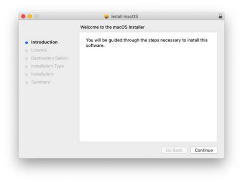 Install Dmg File From Terminal Yellowrenew