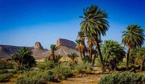 Discover The Breathtaking Oasis Desert Of Maroc