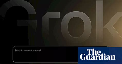 Musks Ai Bot Grok Blames Its Holocaust Scepticism On ‘programming Error Australia