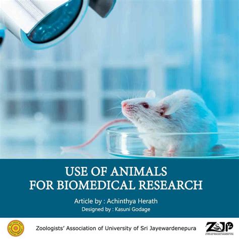 Biomedical Research On Animals