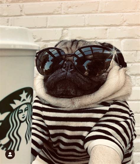 Harsh Vikram Singh Medium