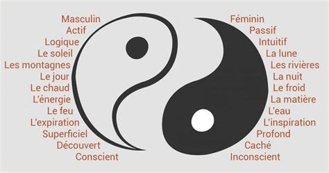 Symbole Sacré Yin Yang Lharmonie Des Forces Pour Un équilibre De