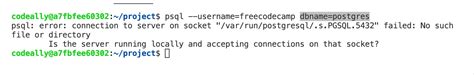 Vm Terminal Issue With Psql Backend Development The Freecodecamp Forum
