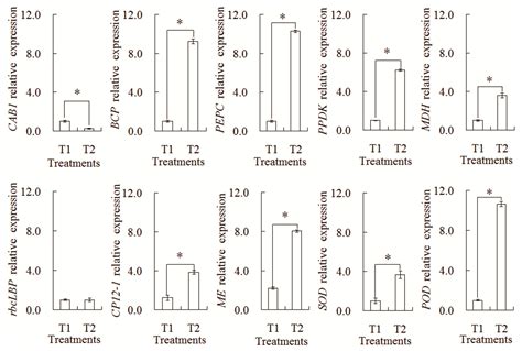 Integrative Physiological Transcriptome And Proteome Analyses Provide