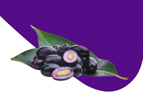 [100 ] Java Plum Wallpapers