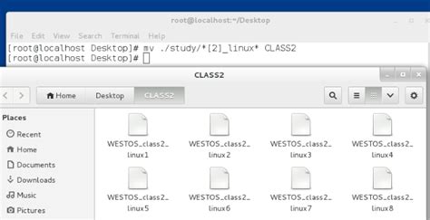 linux命令行及文件练习题 linux文件管理命令百度文库 csdn博客