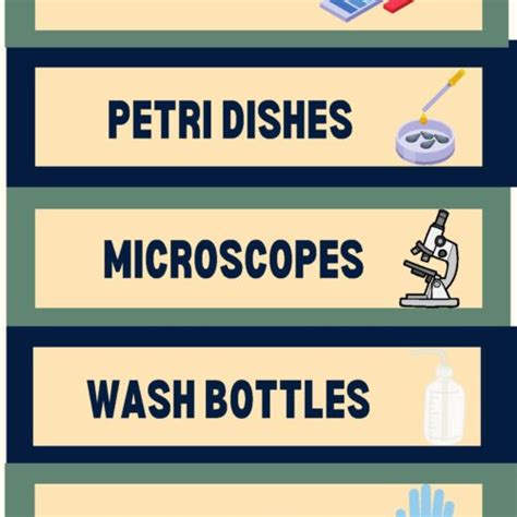 Science Lab Equipment Labels Classful Science Lab Equipment Labels Classful
