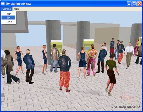 Simulation 3d Output With Simulem Download Scientific Diagram