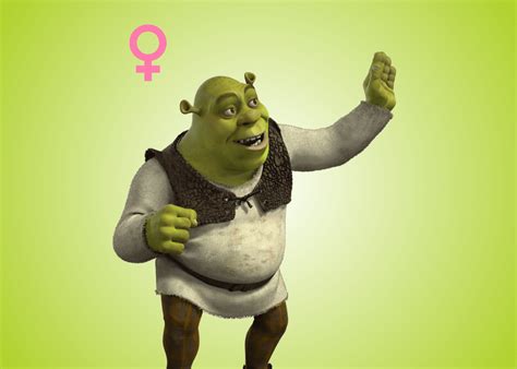 Female Shrek Diy Costume Guide