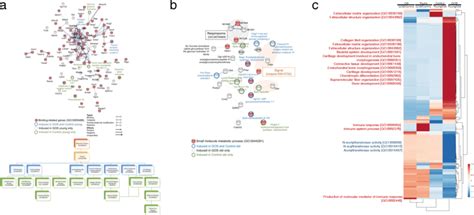 String Network Analysis 67 Of Expression Data From Colon Showed