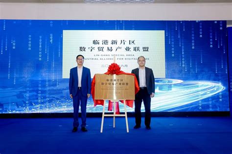 “临港新片区数字贸易产业联盟”揭牌，助力临港培育世界级优势产业集群 创新 跨境 建设