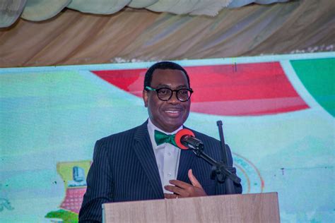 Adesina Urges Major Investments As 600 Million Africans Lack Electricity