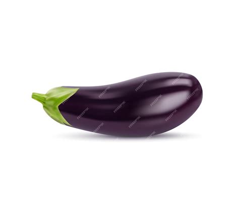 Premium Vector Realistic Raw Isolated Eggplant Whole Vegetable