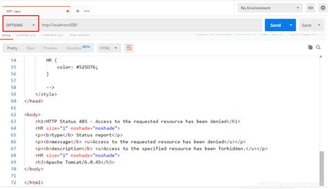 禁用webdav tomcat（检测到目标url启用了不安全的方法） tomcat 禁用webdav csdn博客