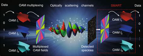 Optical Orbital Angular Momentum Multiplexed Data Transmission Under