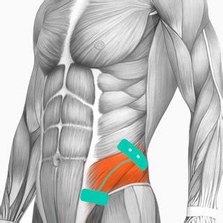 Placement Of Electrodes Electro Stimulation Devices