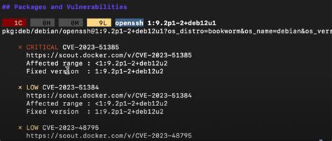 Docker Scout Scouting The Security Seas Dev Community