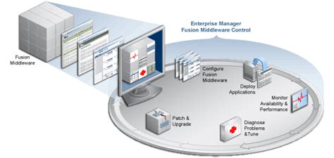Technical Illustration Showing Oracle Enterprise Manager Fusion