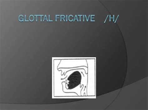 Ppt Glottal Fricative H Powerpoint Presentation Free Download Id 2647091