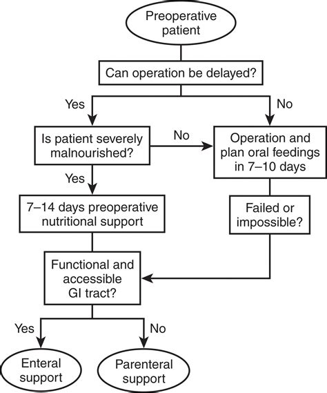 Preoperative And Postoperative Nutritional Support Strategies For