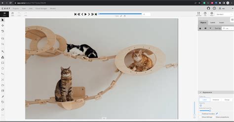 Cvat Ai Cli Tutorial Automated Annotation Guide