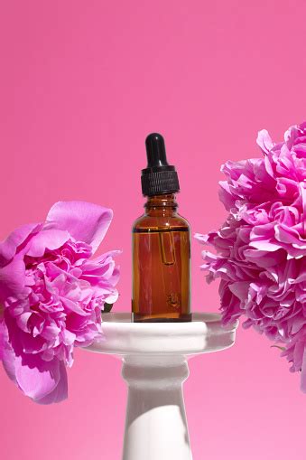 연단에 점적기가있는 화장품 유리 병 히알루 론산 오일 콜라겐과 펩타이드와 혈청 스킨 케어 제품 모형 포장 화장품 디자인 브랜딩 꽃 식물에 대한 스톡 사진 및 기타 이미지