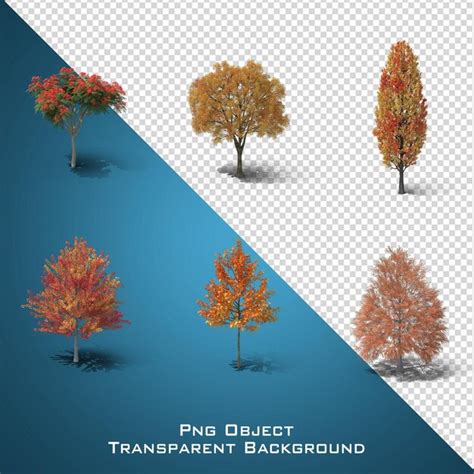 Premium Psd 3d Tree Part 2