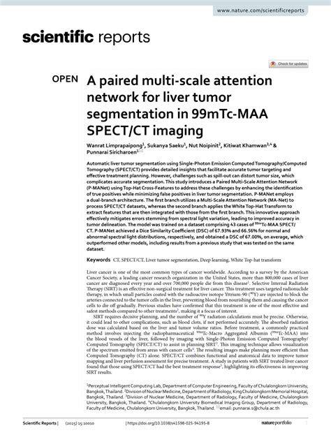 Pdf A Paired Multi Scale Attention Network For Liver Tumor Segmentation In 99mtc Maa Spectct