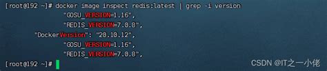 查看docker镜像latest版本号的具体版本 docker search 版本 csdn博客