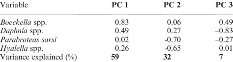 Summary Of The Eigenvectors Of The Principal Component Analysis PCA Download Table