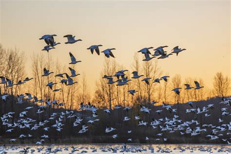 Critical Success Factors For Sap S 4hana Projects Sap Africa News Center