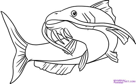 Catfish Clipart Animated Picture 2343426 Catfish Clipart Animated
