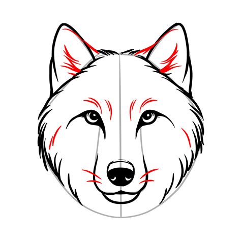 How To Draw Wolf Face