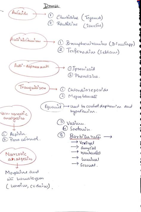 Chapter 14 Ecosystem Class 12 Biology Notes For Cbse Board And Neet Shop Handwritten Notes Shn