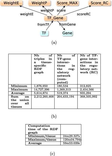 a rdf model for each tissue specific graph boxes represent classes of