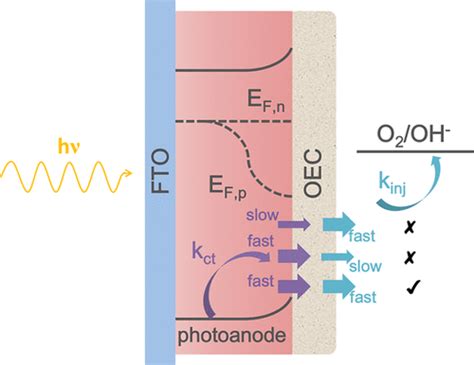 用于光电化学水分解的电催化剂涂覆光阳极的平衡催化活性和界面能 Acs Applied Materials And Interfaces X Mol