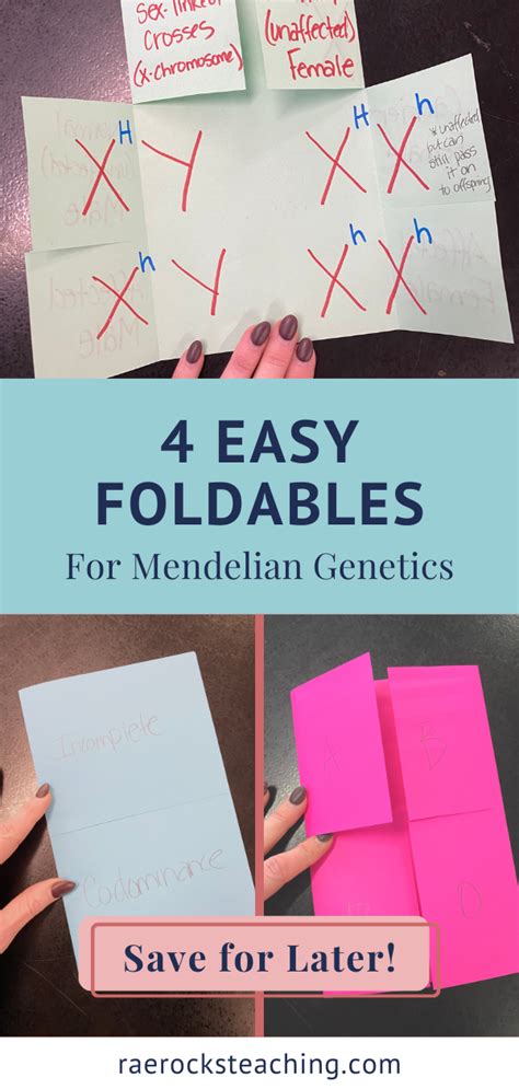 Foldable Activities Artofit