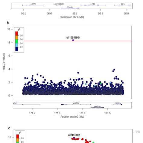 Manhattan Plot For A Wgs Single Variant Test B Skat Test And C