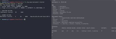 `fly ssh console s` not showing vms