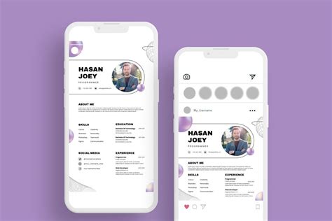 Programmer Resume CV Set Template Resume Template Digitcase 132096 PoweredTemplate Com