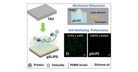 Development Of A Robust Slippery Liquid Infused Porous Surface With Grafted Polymer Brushes And