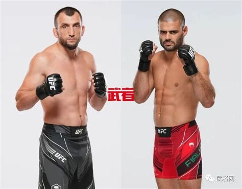 11月20日ufc：德里克·刘易斯vs谢尔盖·斯皮瓦克腾讯新闻